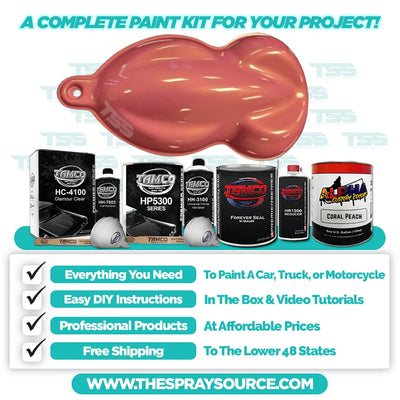 TSS Car Paint Kits - Professional and DIY – The Spray Source