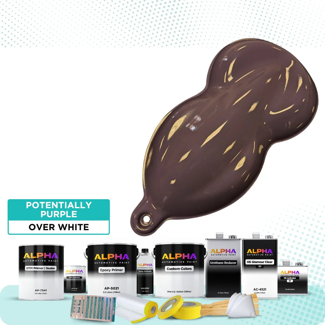 TSS Car Paint Kits - Professional and DIY – The Spray Source