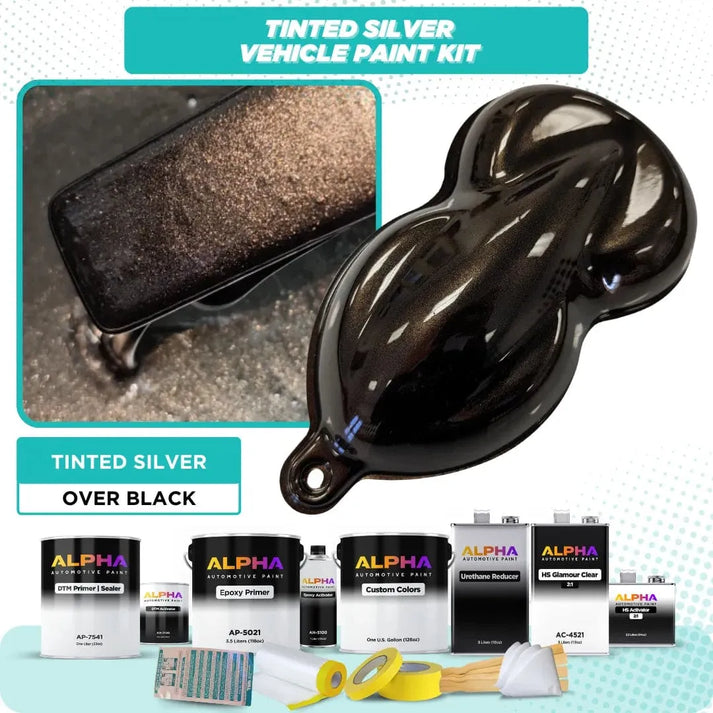 Tinted Silver Vehicle Paint Kit – The Spray Source
